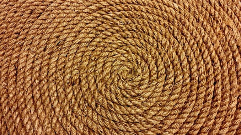 The Top-Notch Lasso That A Beginner Needs | FamilyHype