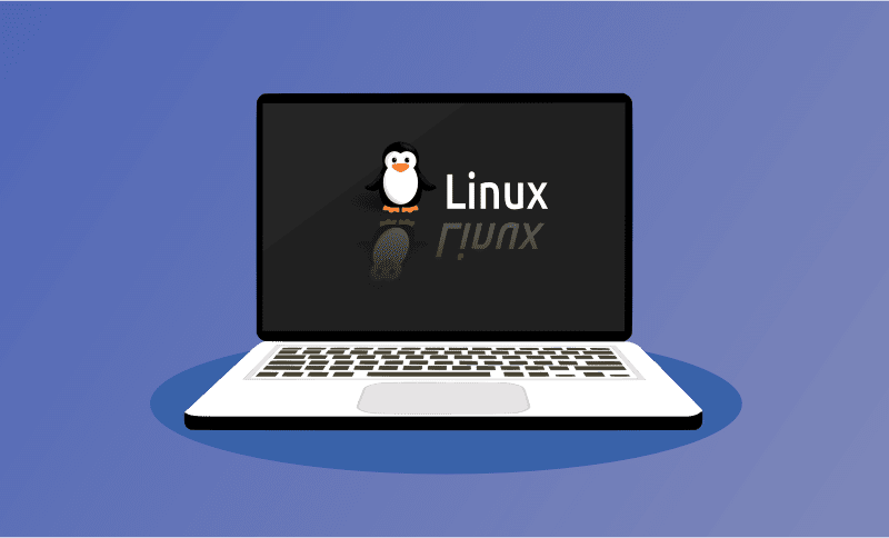 Best Linux Laptops of 2022 - Family Hype